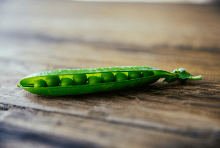 Growing Snow Pea: How to Grow and Care for Snow Pea - Jardin HQ