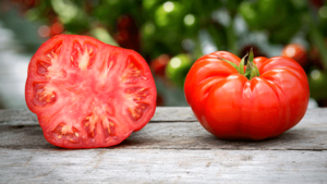 Beefmaster Tomato Growing Guide: Everything You Need to Know
