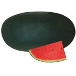 Icebox Watermelon Growing Guide: How To Grow It In Your Garden