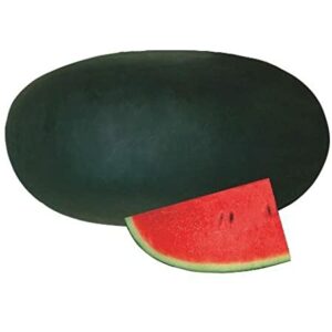 Icebox Watermelon Growing Guide: How To Grow It In Your Garden