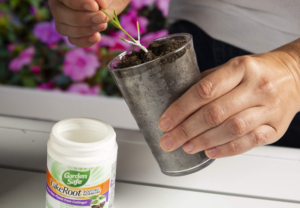 How to Find the Best Root Stimulator For Your Cuttings - Jardin HQ