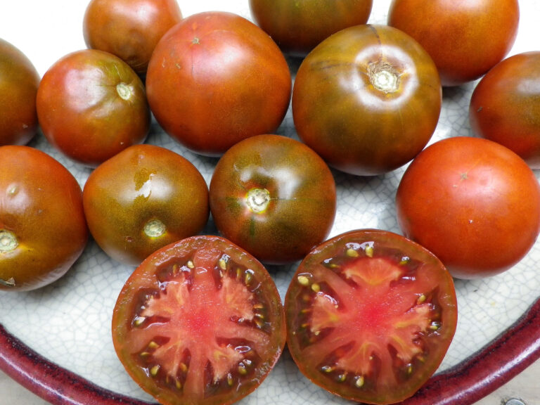 Black Tomato Varieties Guide: Everything You Need To Know About Them